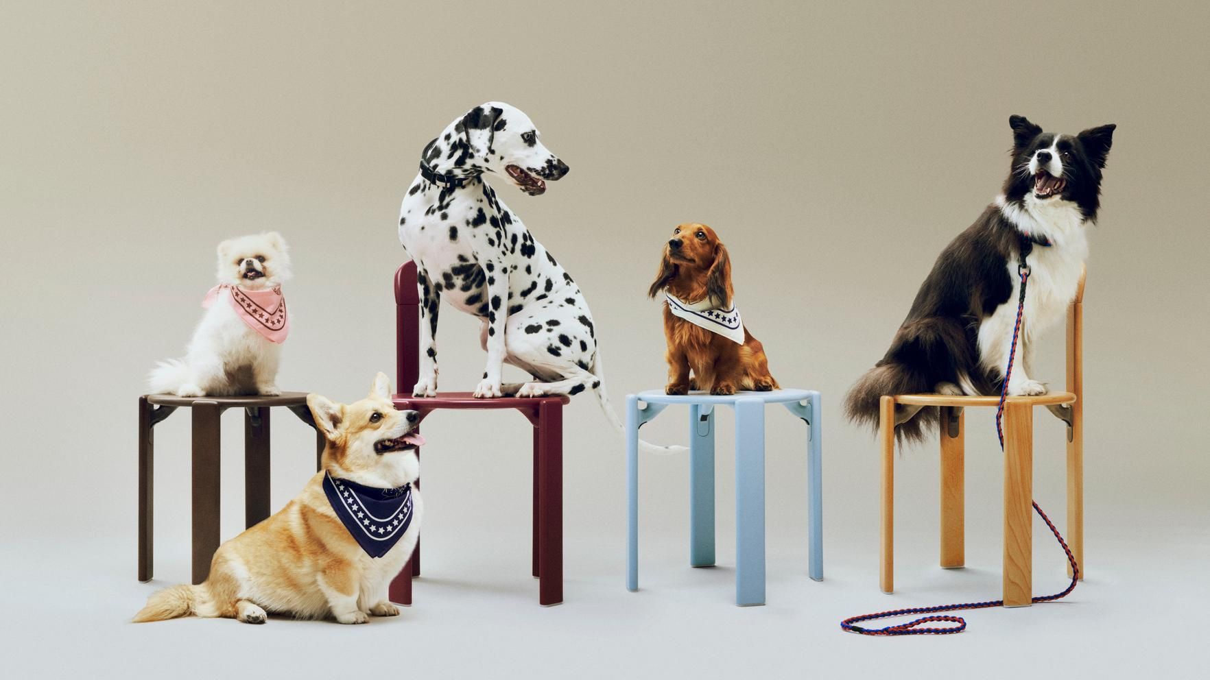 HAY Dogs Hondenbed Large Black, white | HAY.nl