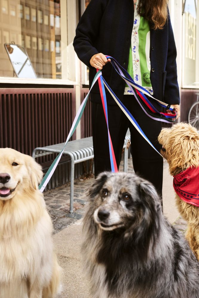 HAY Dogs Hondenriem Flat | HAY.nl