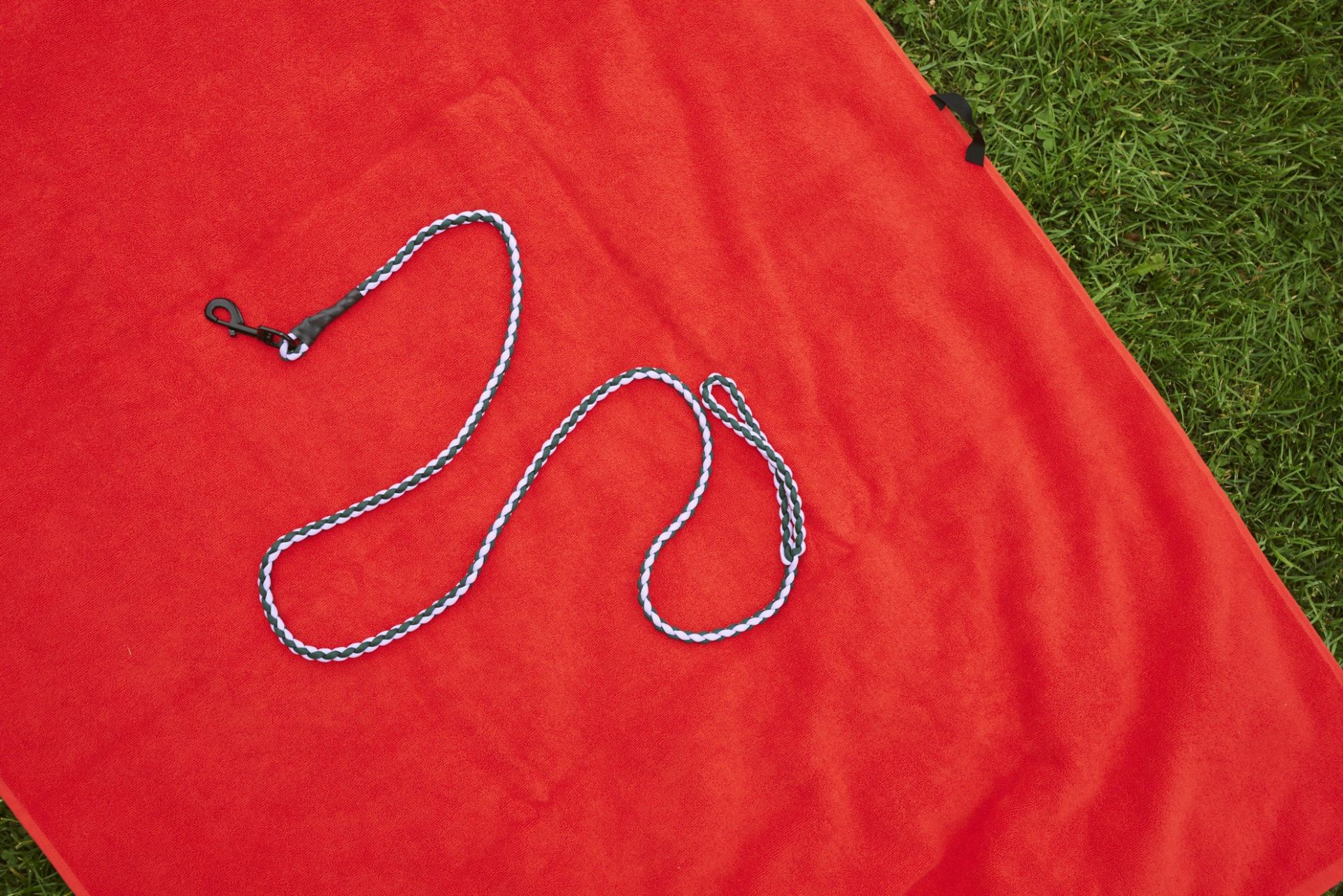 HAY Dogs Hondenriem Braided | HAY.nl