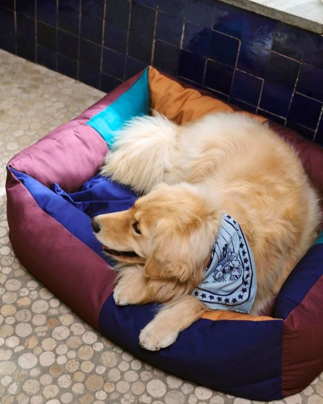 Home | Design furniture and accessories